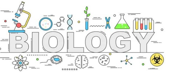 Bioloģijas Valsts 48. olimpiādes 9.–12. klašu uzvarētāji - RVKĢ